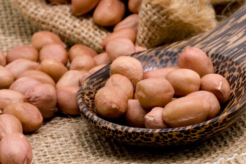 No Shell Dry Peanut in Wooden Spoon and Sack Stock Image - Image of ...