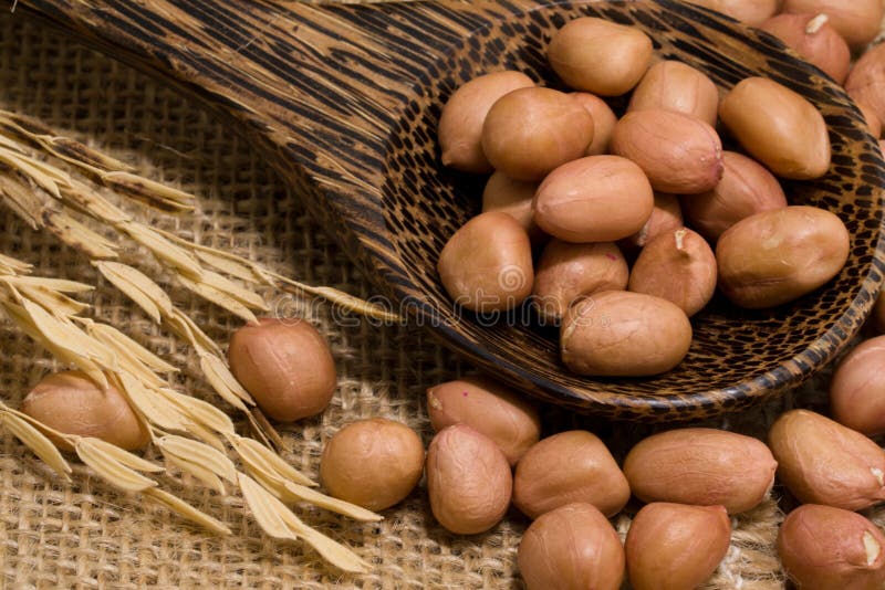 No Shell Dry Peanut in Wooden Spoon and Sack Stock Photo - Image of ...
