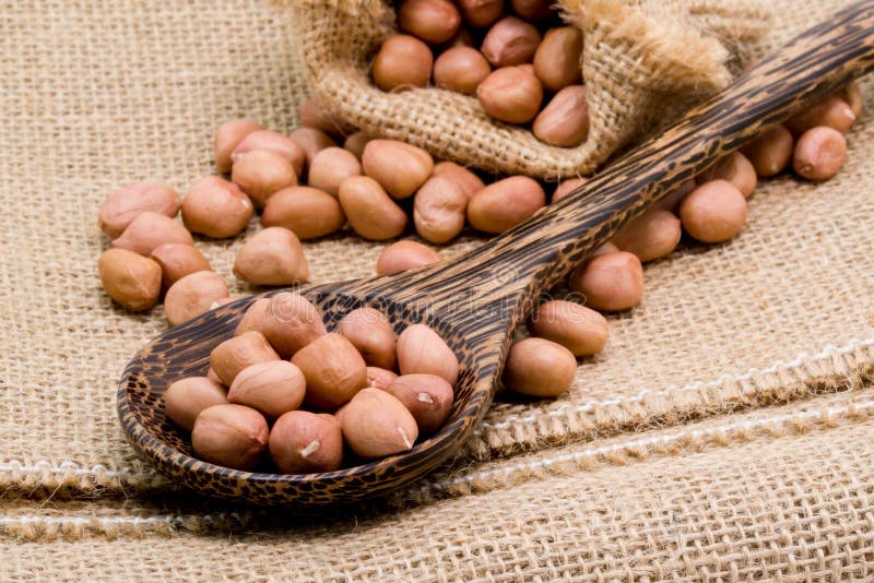 No Shell Dry Peanut in Wooden Spoon and Sack Stock Image - Image of ...