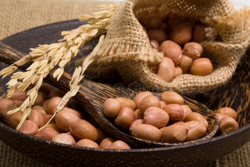 No Shell Dry Peanut in Wooden Spoon and Sack Stock Photo - Image of ...