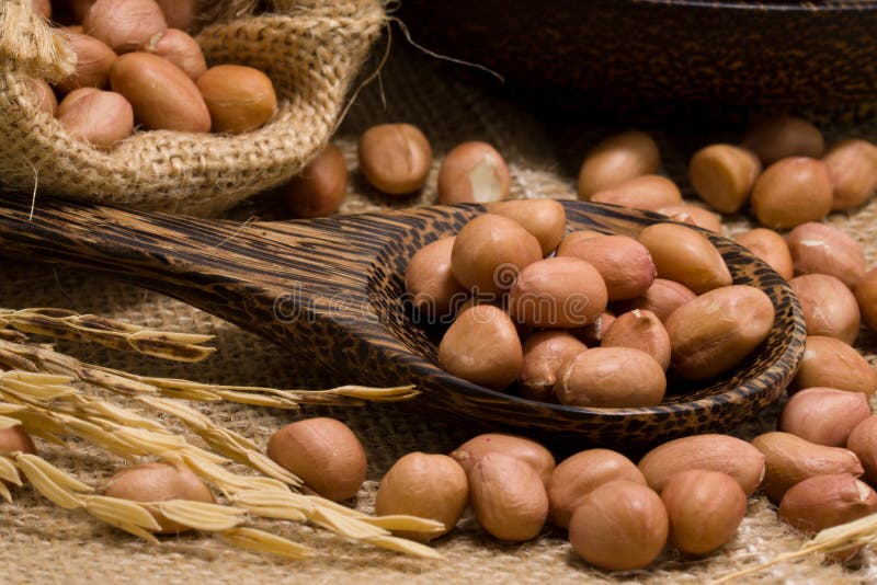No Shell Dry Peanut in Wooden Spoon and Sack Stock Image - Image of ...