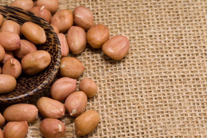 No Shell Dry Peanut in Wooden Spoon and Sack Stock Photo - Image of ...