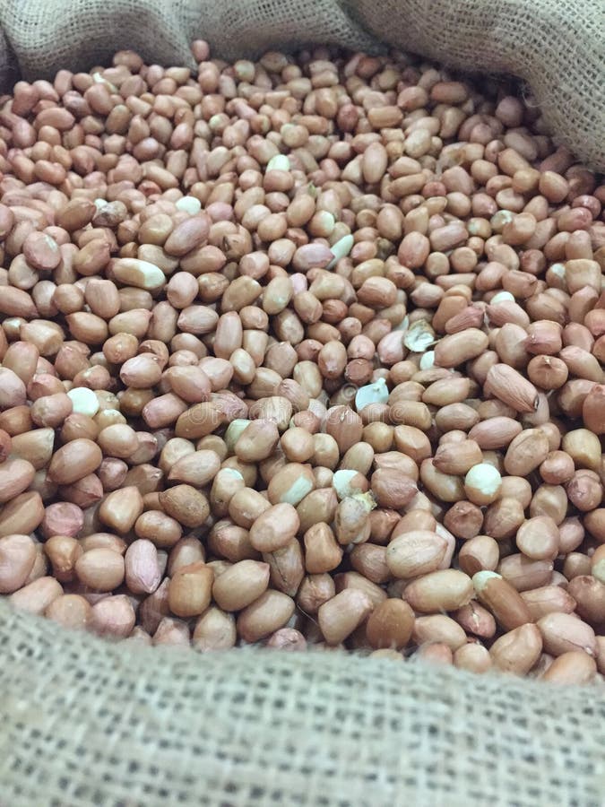 No Shell Peanut in Burlap Sack Stock Image - Image of sack, rawfood ...
