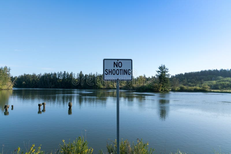 No Shooting Gun Sign stock image. Image of board, sign - 47816755
