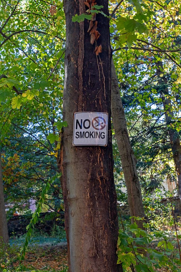 No Smoking Sign on Tree in Forest Stock Image - Image of warning ...