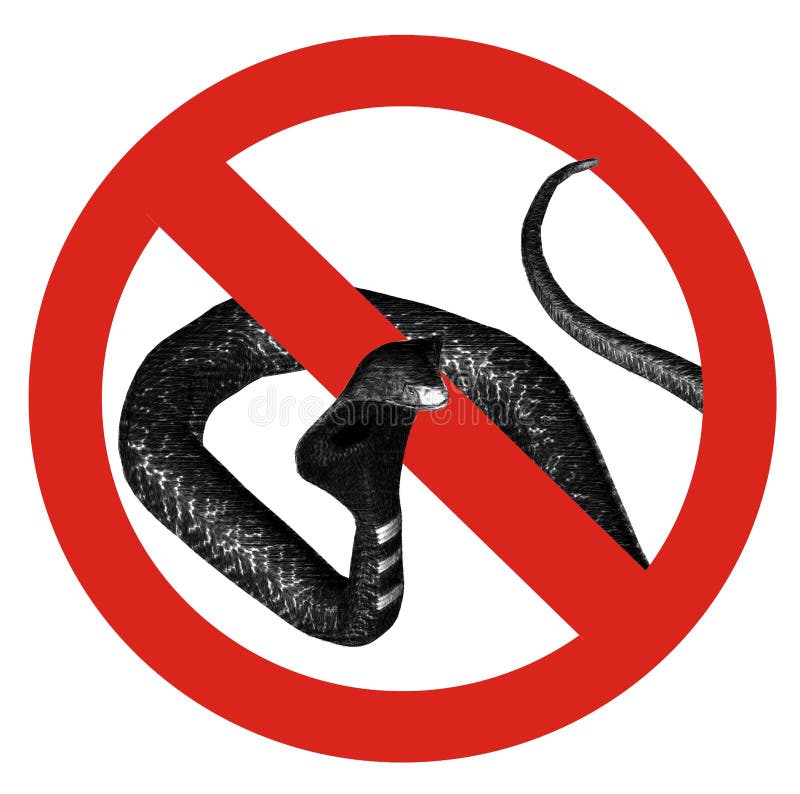 Snakes Allowed Stock Illustrations – 10 Snakes Allowed Stock ...