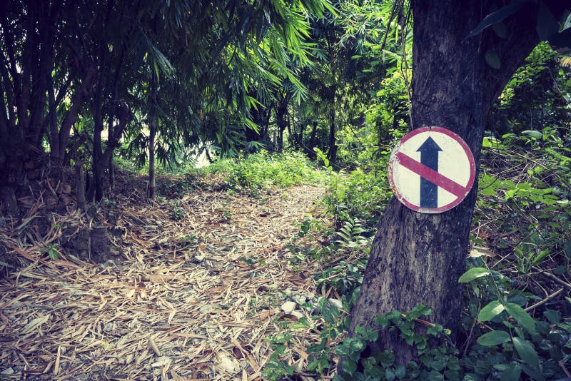 No Straight Sign on the Tree Stock Image - Image of tree, safety: 78252339