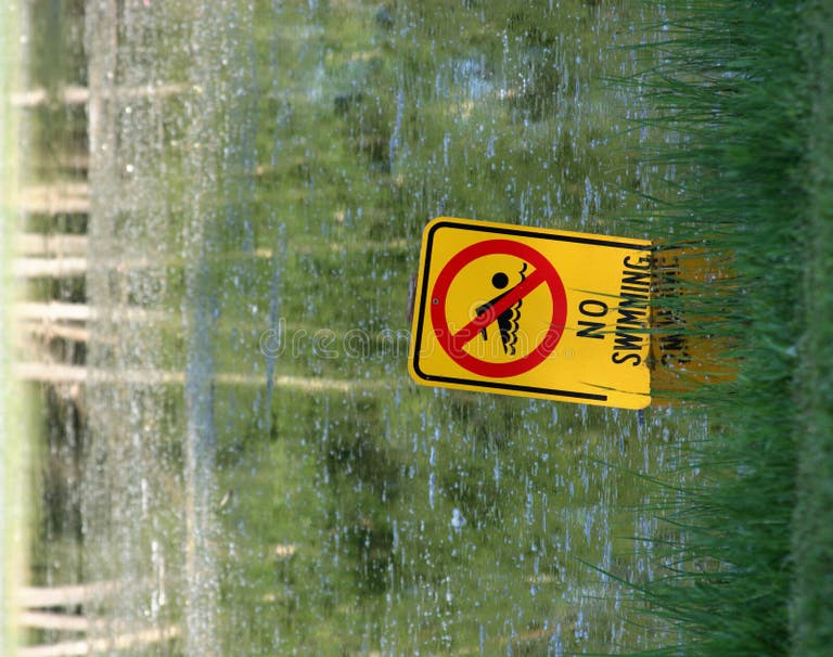 10,443 Swimming No Stock Photos - Free & Royalty-Free Stock Photos from ...