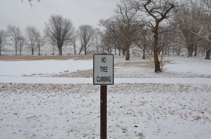 No Tree Climbing Sign with Snow and Ice Stock Photo - Image of path ...
