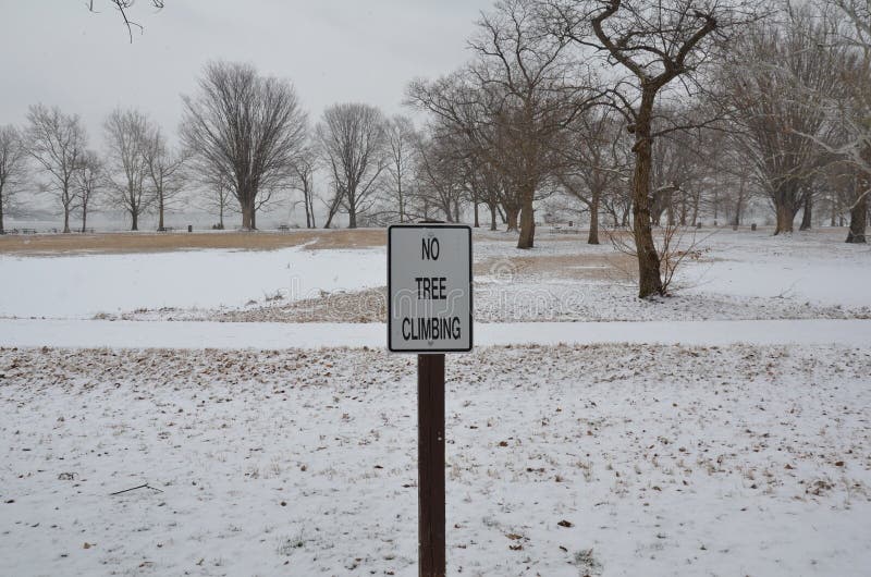 No Tree Climbing Sign with Snow and Ice Stock Image - Image of climb ...