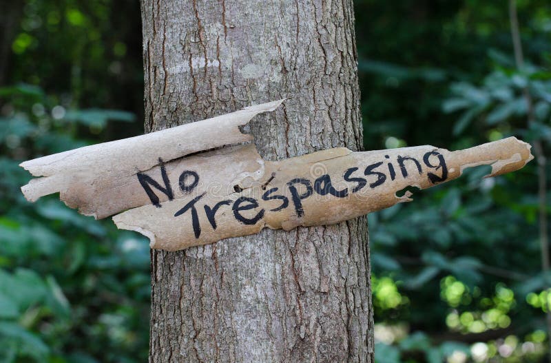 No Trespassing Sign Hanging on Tree in Forest Stock Image - Image of ...
