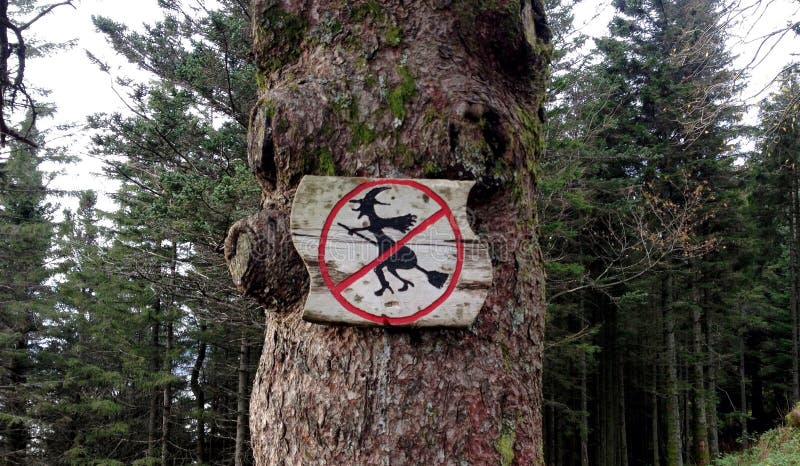No witches stock photo. Image of witches, norway, forest - 50047770
