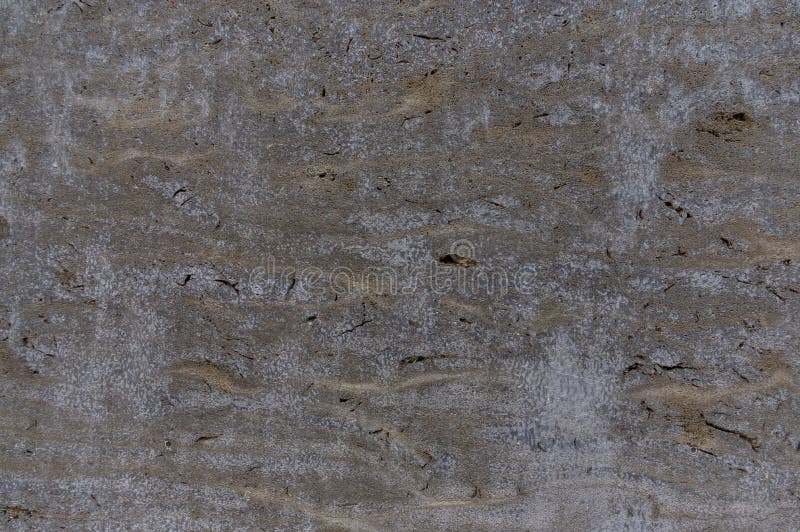 Noble Natural Stone Travertine Shell Limestone As Wall Cladding Stock ...