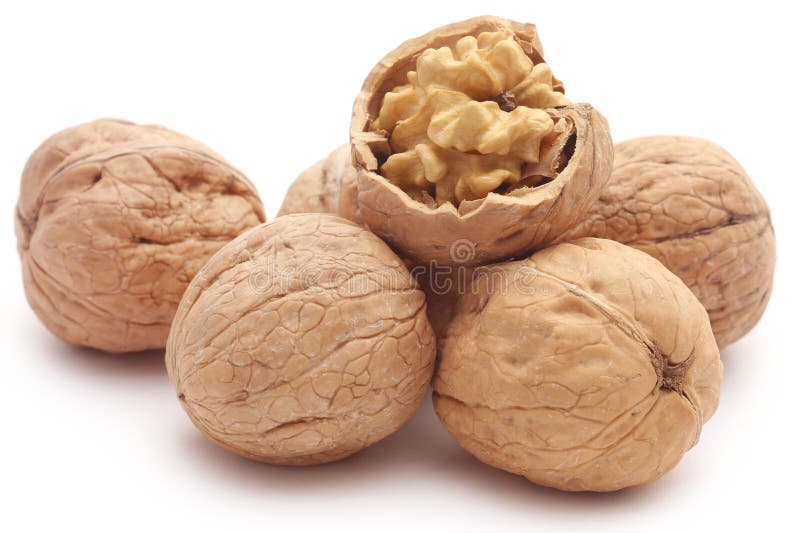 Noce immagine stock. Immagine di squisito, coperture - 102767505