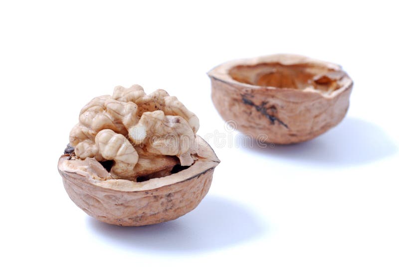 Noce fotografia stock. Immagine di stagionale, aperto - 10867902