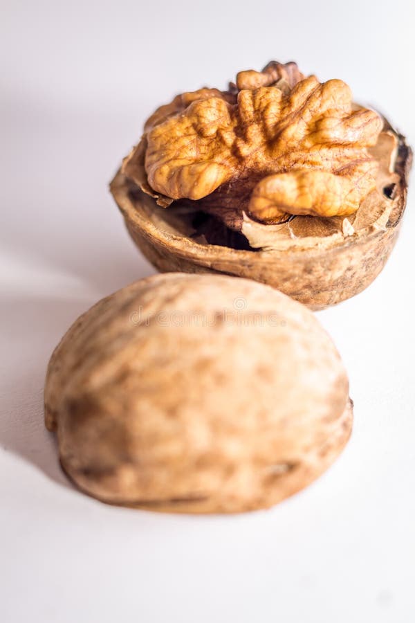 Gheriglio Foto Stock - Download 663 Royalty Free Photos