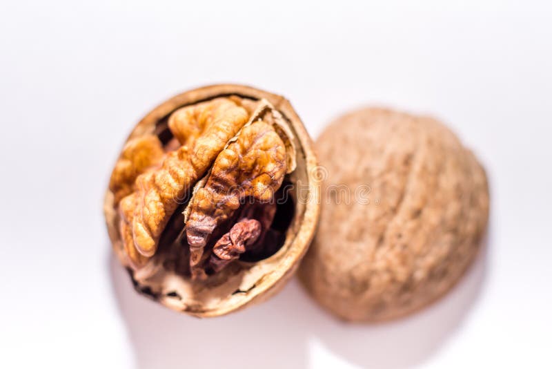 Gheriglio Foto Stock - Download 663 Royalty Free Photos