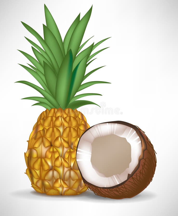 Noce Di Cocco Ed Ananas Incrinati Illustrazione Vettoriale ...