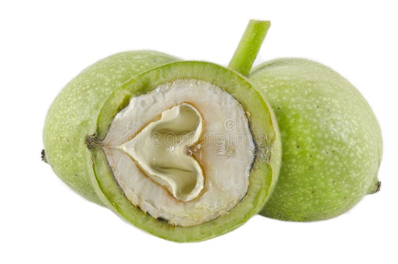 Noce Verde Isolata Su Fondo Bianco Immagine Stock - Immagine di ...