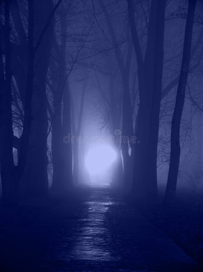 Noche azul foto de archivo. Imagen de oscuridad, decorativo - 1638316