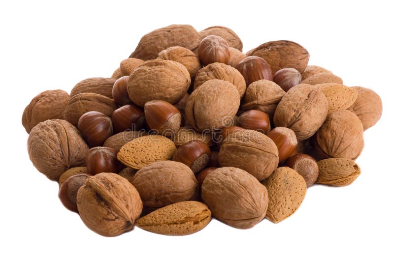 Noci americane immagine stock. Immagine di isolato, noce - 20090053