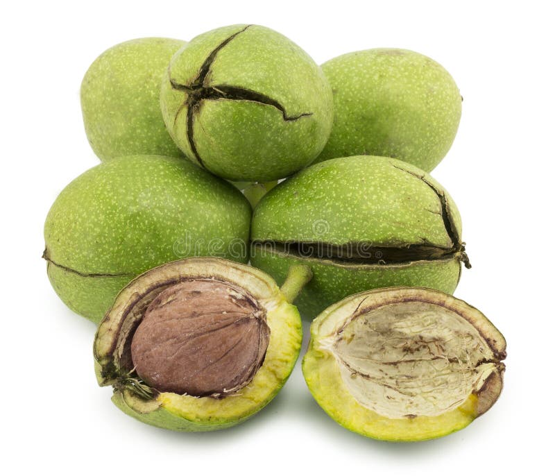 Noci fotografia stock. Immagine di grezzo, maturo, nocciolo - 26974338