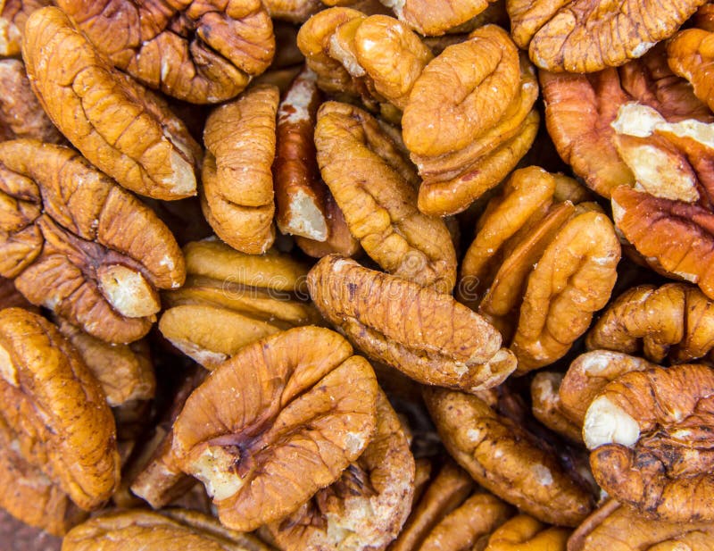 Noci americane fresche fotografia stock. Immagine di sano - 143081010