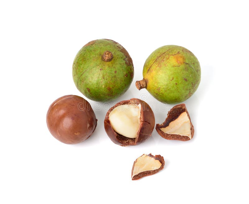 Noce Di Macadamia in Buccia Fotografia Stock - Immagine di organico ...