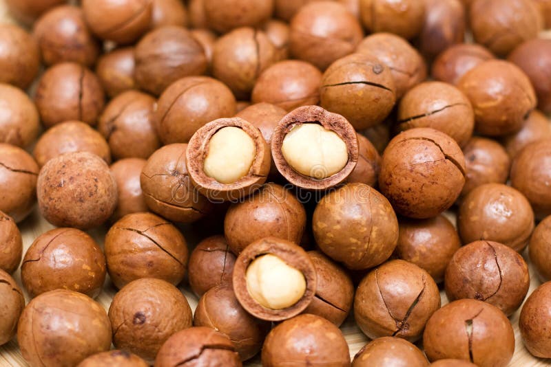 Noci di noce di macadamia fotografia stock. Immagine di nucleo - 16234428