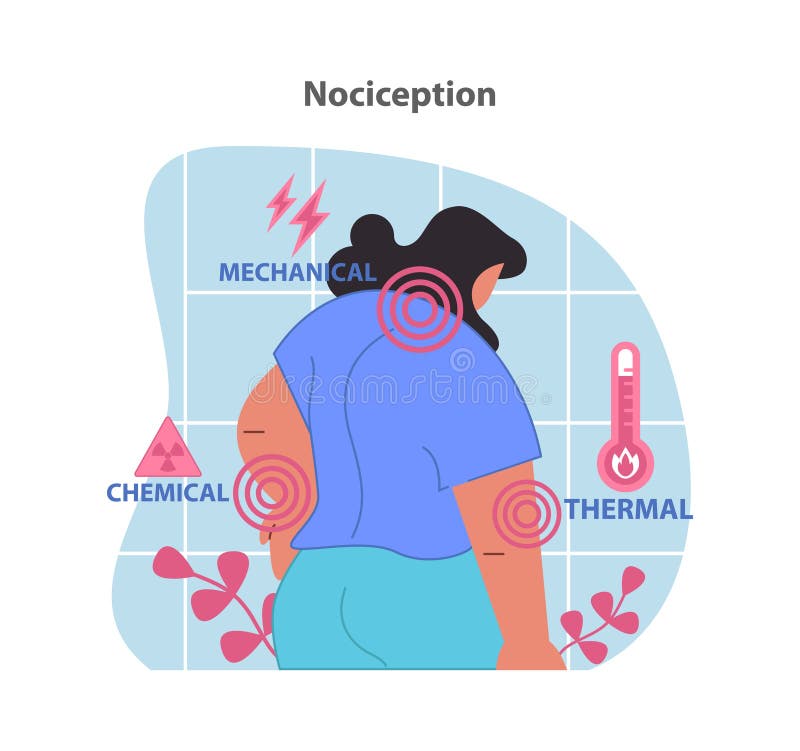 Nociception Illustration. Visualization of the Body S Response To ...