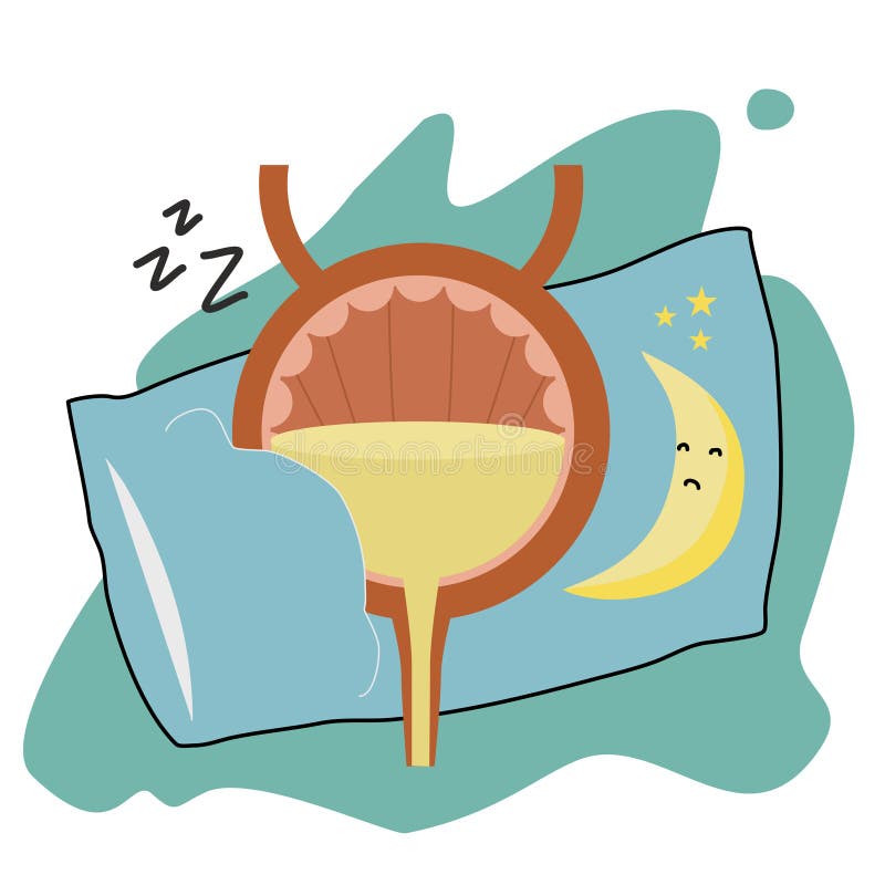 Nocturia Problem of Bladder Make You Wake Up during the Night To ...