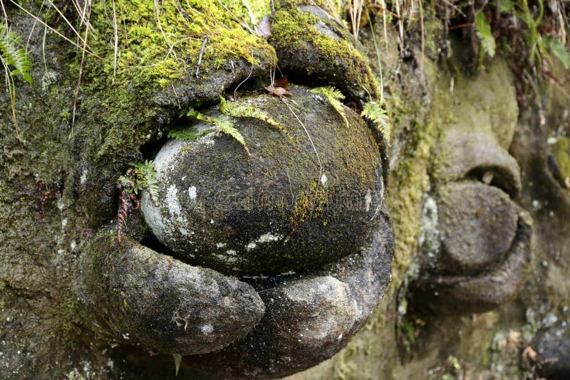 Nodule stock image. Image of moss, sand, nichinancho - 84119593