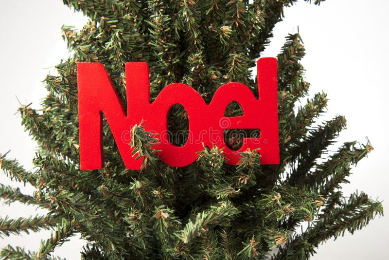 Noel christmas tree stock image. Image of cone, fresh - 11698175