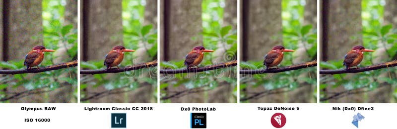 Lightroom Denoise Export Stock Photos - Free & Royalty-Free Stock ...