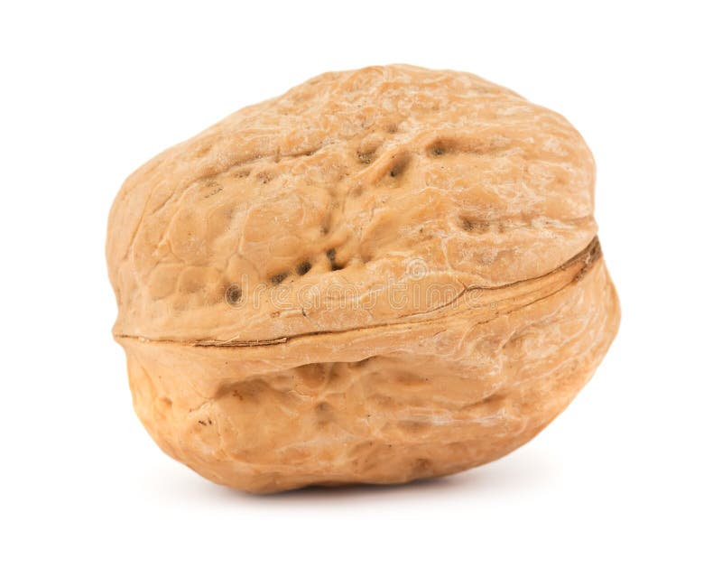 Une noix simple entière photo stock. Image du noix, isolement - 12146252
