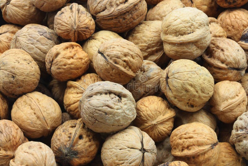 Noix image stock. Image du noix, fruits, fond, détail - 20871697