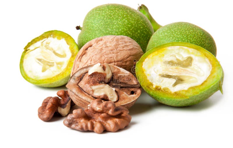 Noix photo stock. Image of fermer, mûr, sain, nourriture - 25455204