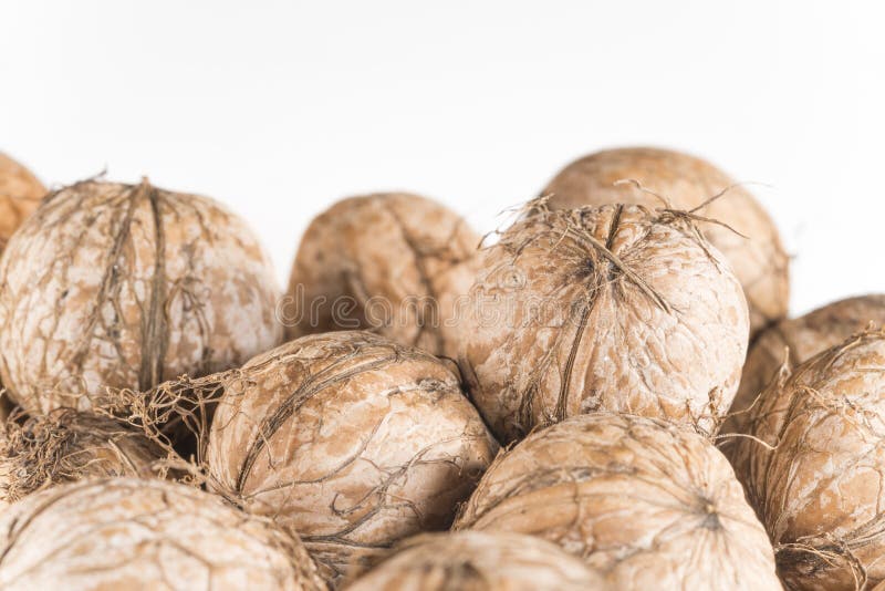 Noix image stock. Image du coques, denrée, groupe, fermer - 34248217