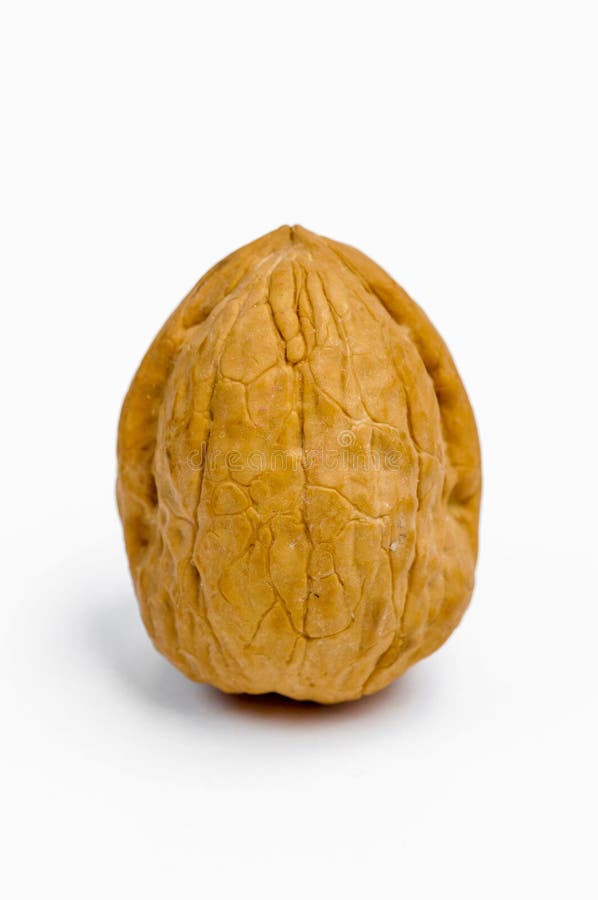 Une noix simple entière photo stock. Image du noix, isolement - 12146252
