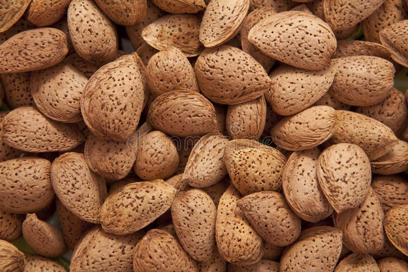 Noix d'amande photo stock. Image du fond, graine, entier - 16182644