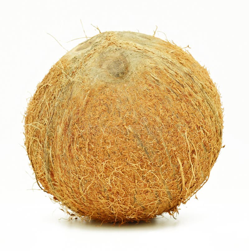 Noix de coco photo stock. Image du comestible, coconut - 10108798