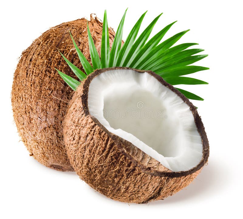Noix De Coco D'isolement Sur Le Fond Blanc Photo stock - Image du ... Noix De Coco D'isolement Sur Le Fond Blanc Photo stock - Image du ...