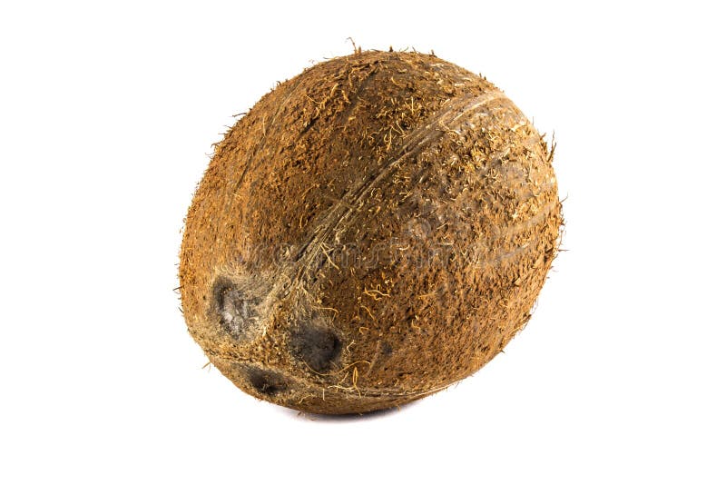 Noix De Coco De Fruit Tropical D'isolement Photo stock - Image du ...