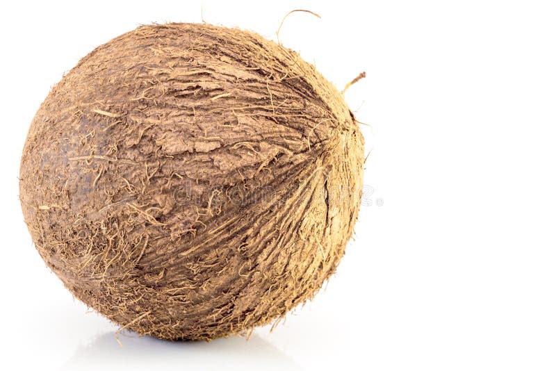 Noix De Coco De Fruit Tropical D'isolement Sur Le Fond Blanc Photo ...