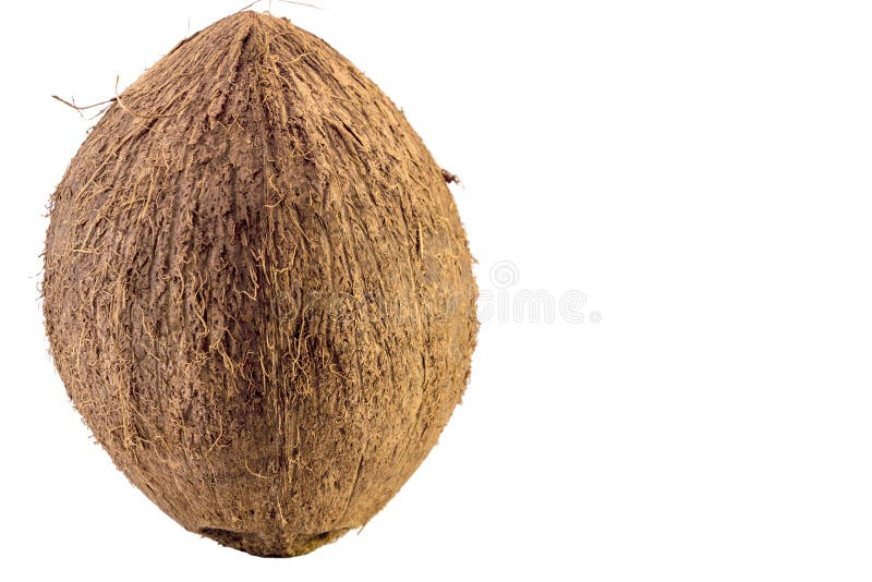 Noix De Coco De Fruit Tropical D'isolement Sur Le Fond Blanc Image ...