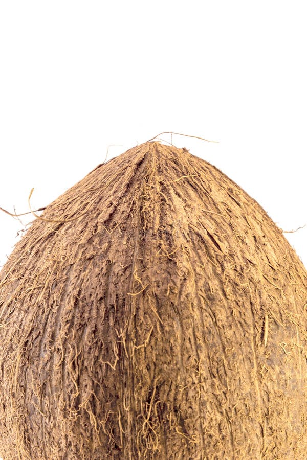 Noix De Coco De Fruit Tropical D'isolement Sur Le Fond Blanc Photo ...