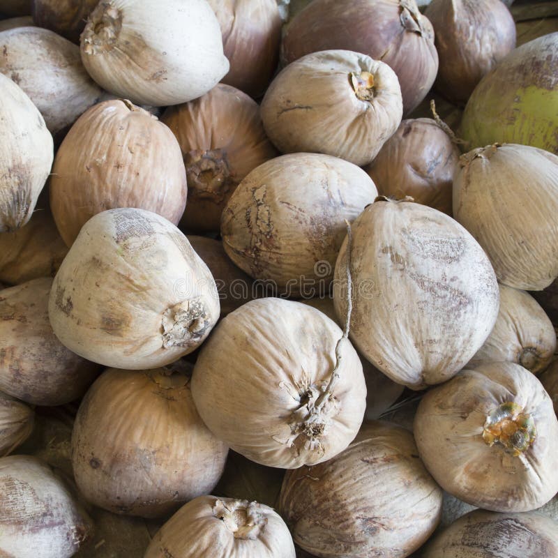 266 Photos de Fruit Sec De Noix De Coco - Photos de stock gratuites et ...