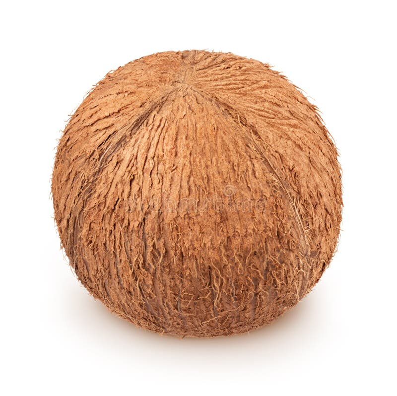 Fibre De Coco De Noix De Coco D'isolement Sur Le Fond Blanc Image stock ...