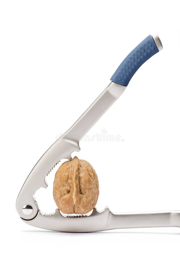 Noix et casse-noix image stock. Image du métal, nourriture - 37482493