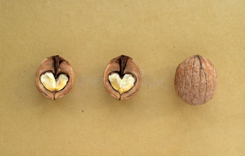 Noix sur fond marron photo stock. Image du automne, collecte - 221516130